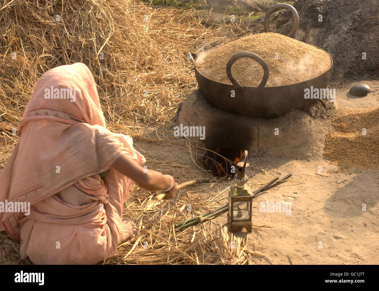 Boiling rice after harvesting, rural West Bengal, India Stock Photo - Alamy