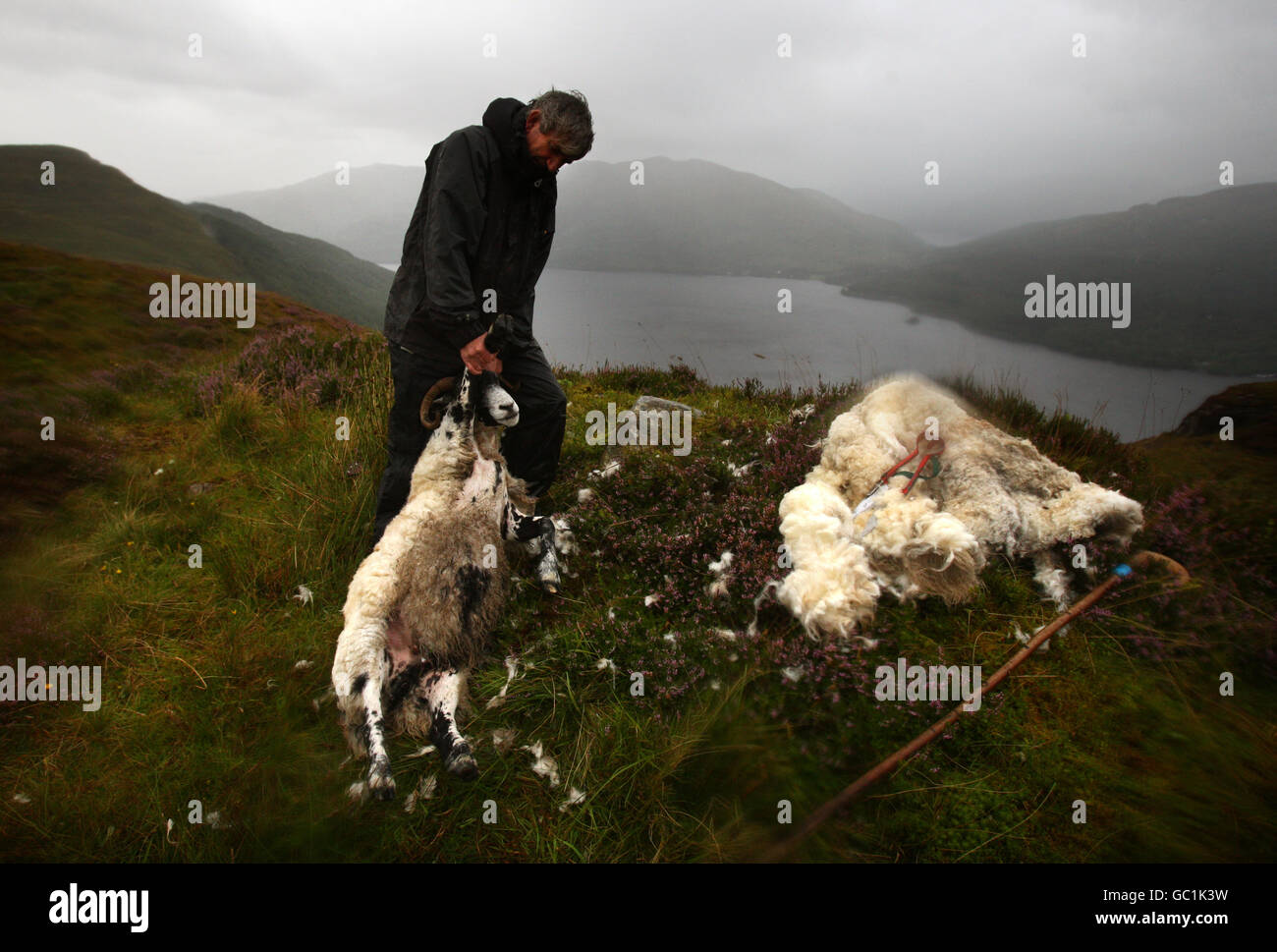 Neil campbell sharp hi-res stock photography and images - Alamy