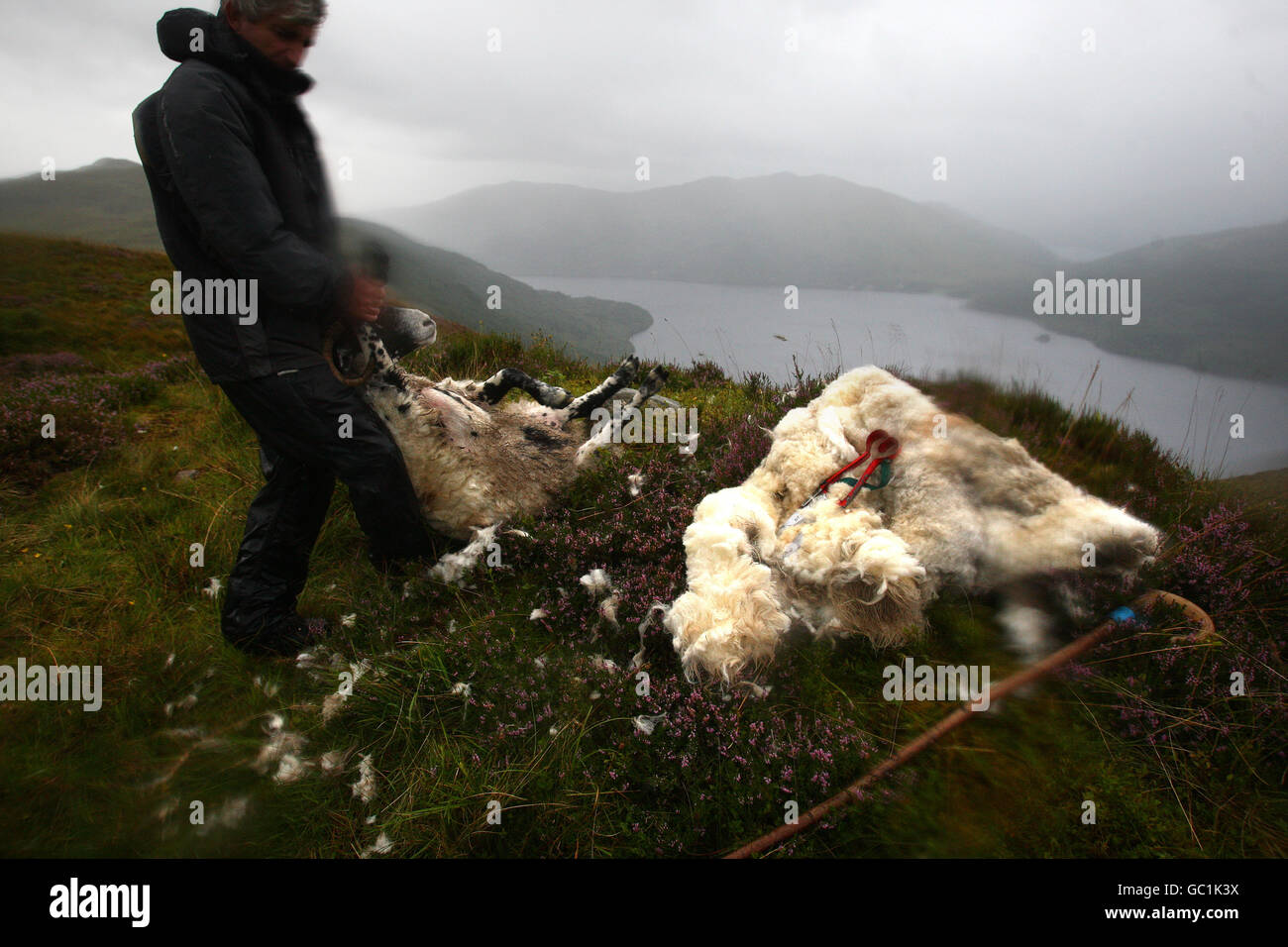 Neil campbell sharp hi-res stock photography and images - Alamy