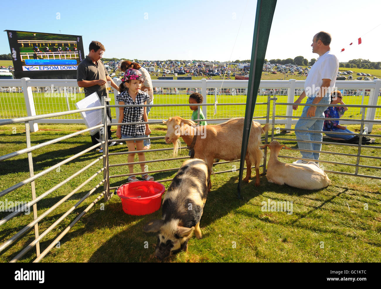 Horse Racing - Family Fun Day - Epsom Downs Racecourse. Animals on show ...