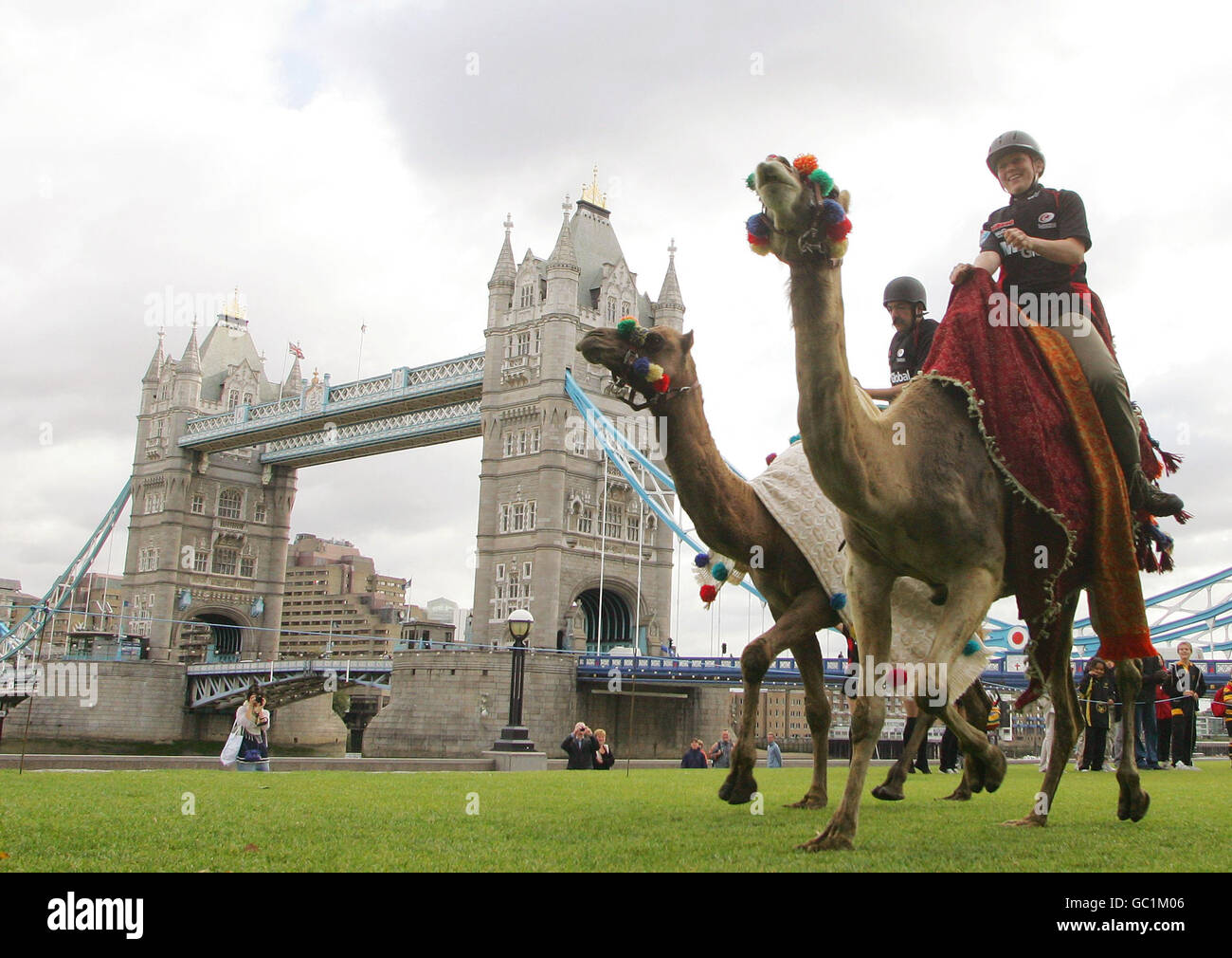 London's first camel race at Potters Fields Park, London Bridge, held ...