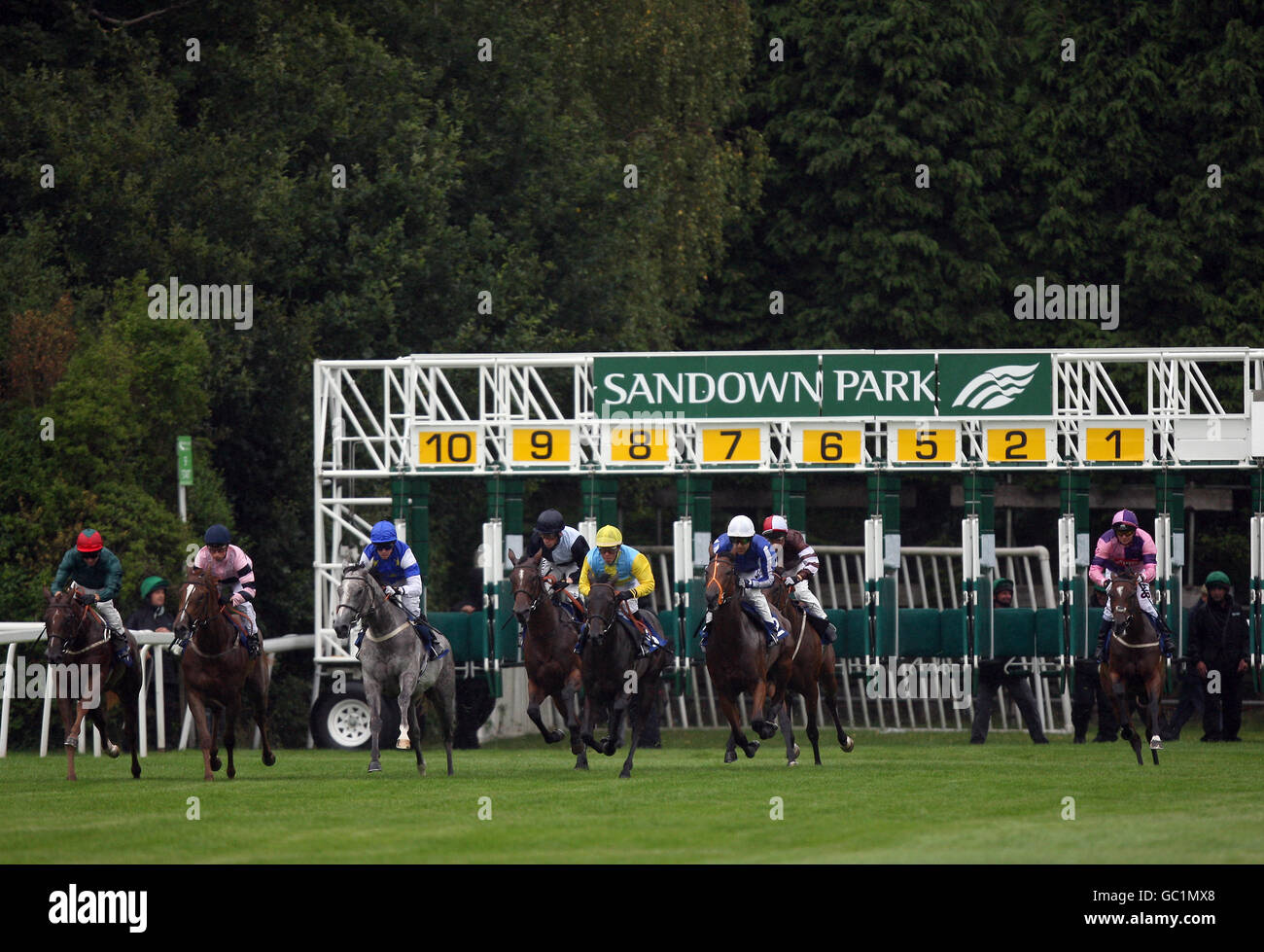 The field burst out of the starting stalls for the first race of the ...