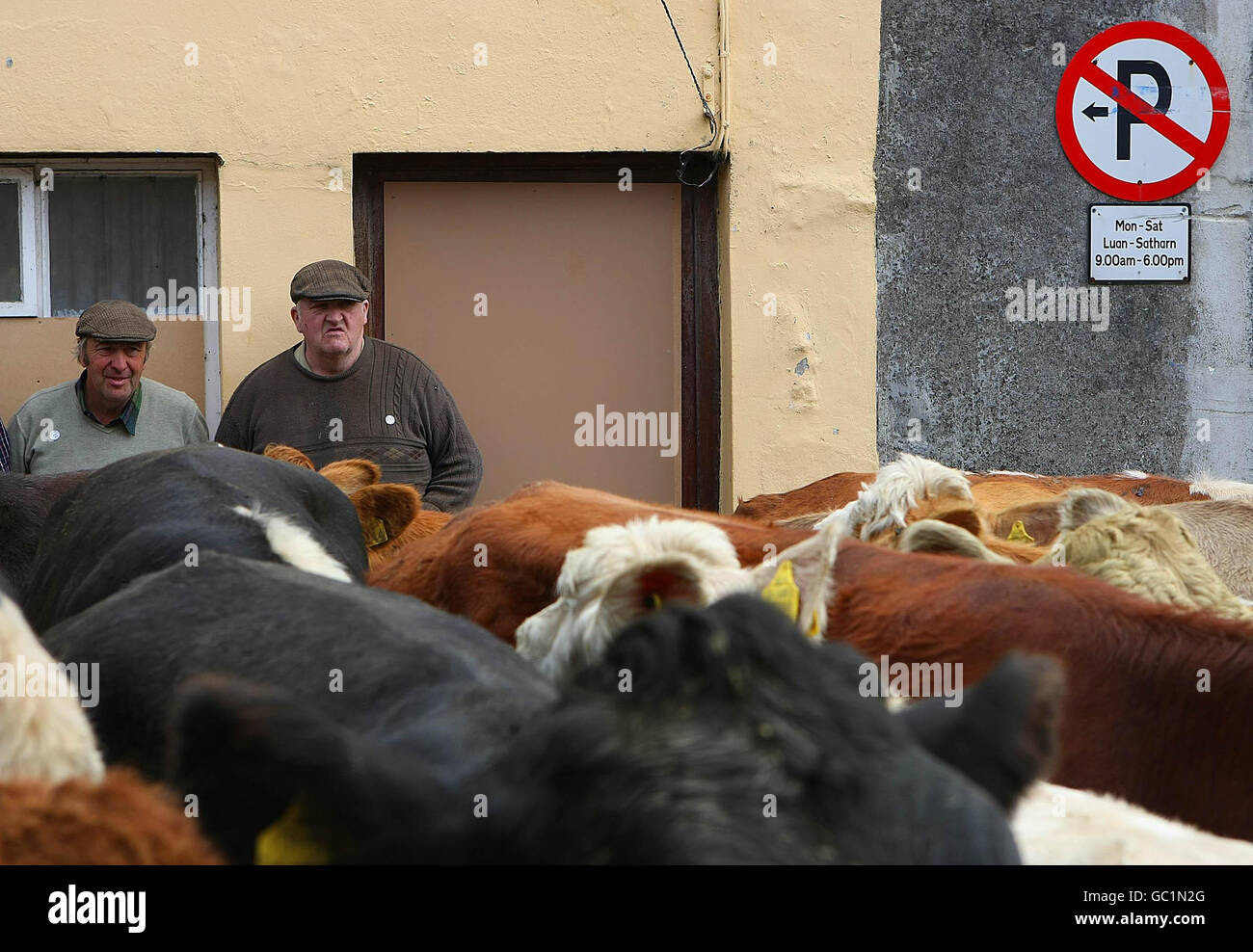 John denis foran currow co hi-res stock photography and images - Alamy