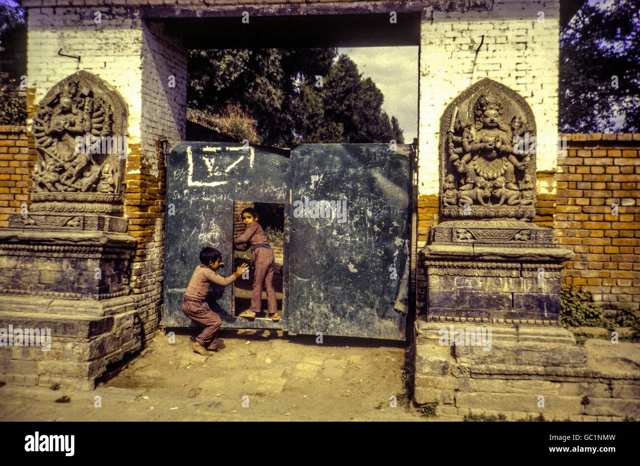 Bossoms hi-res stock photography and images - Alamy