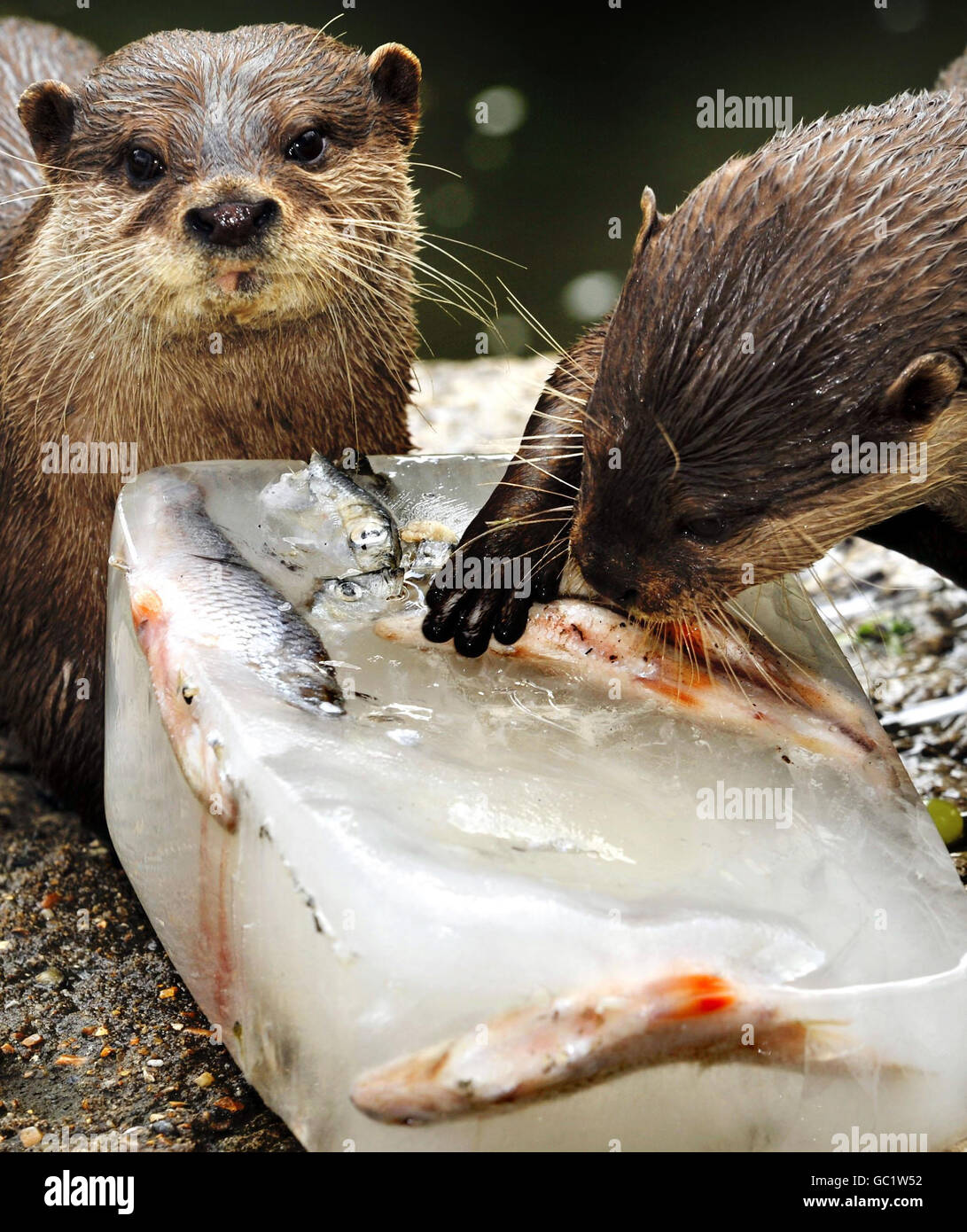Weather shale hi-res stock photography and images - Alamy
