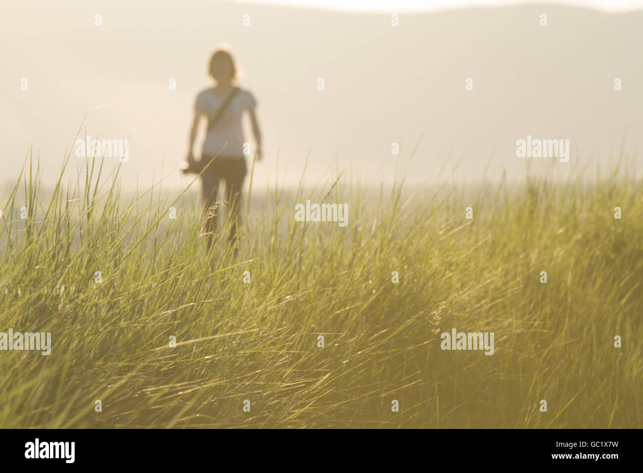 A wandering photographer walks among a beautiful landscape Stock Photo ...