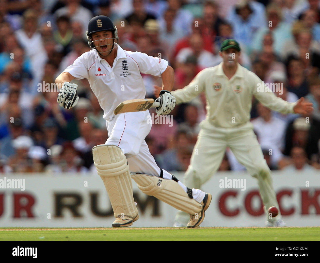 Cricket the ashes fifth test england australia the brit oval hi-res ...