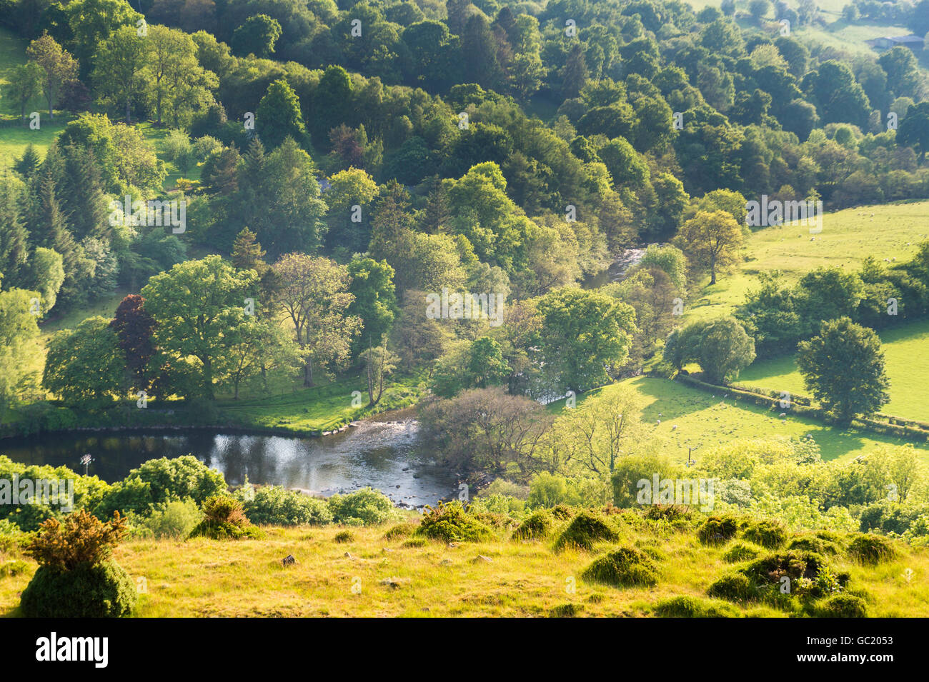 The river wye valley, spring evening, looking downriver from a hilltop ...