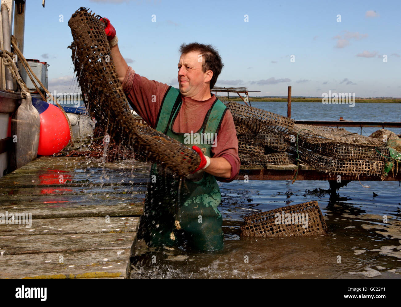 During the first day of the oyster fishing season hi-res stock ...