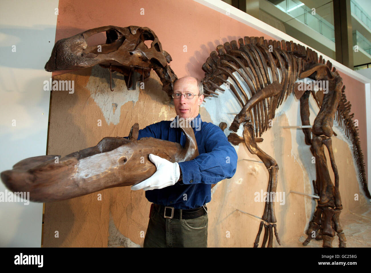 Edmontosaurus back at the Ulster museum. Dr Mike Simms, head of ...