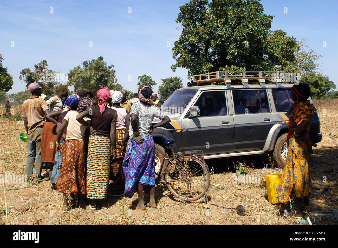 mine in wild golden Poura a French trading some gold nuggets from gold ...