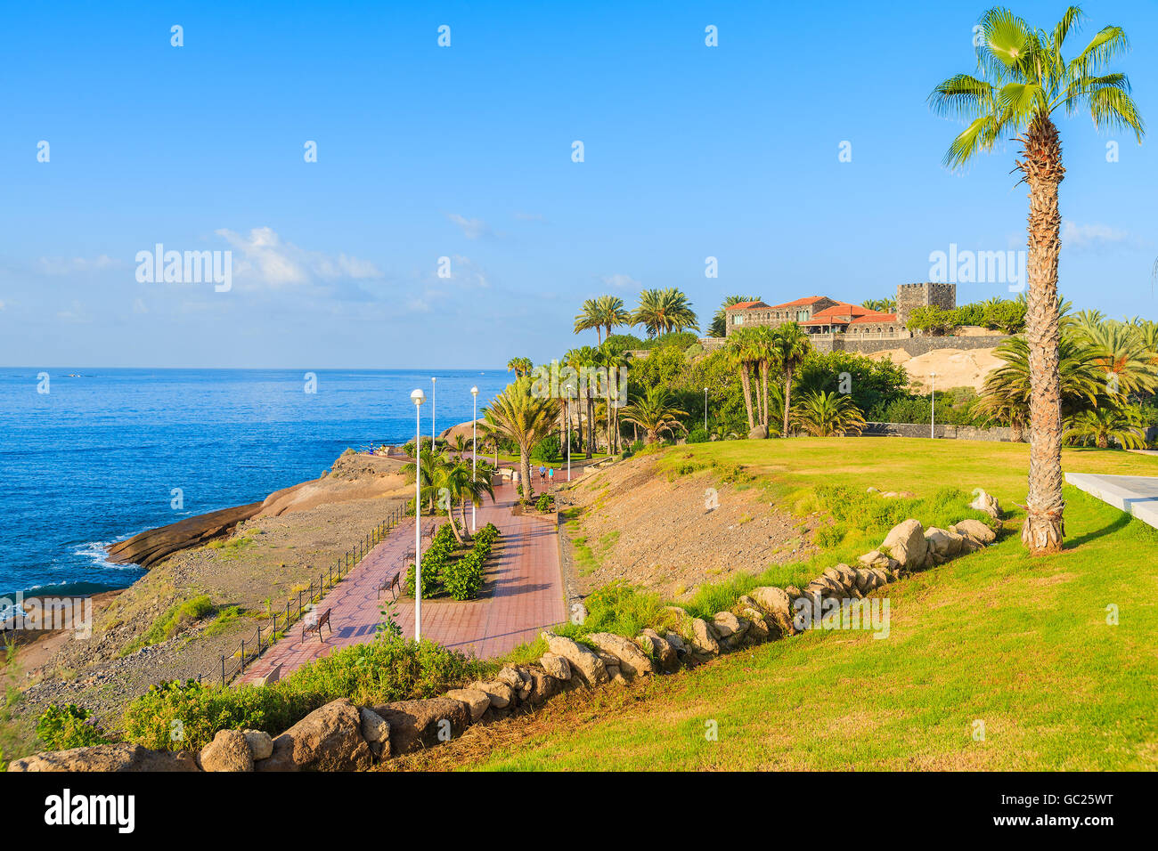 Exotic coastal promenade with palm trees in Costa Adeje holiday town, Tenerife, Canary Islands ...