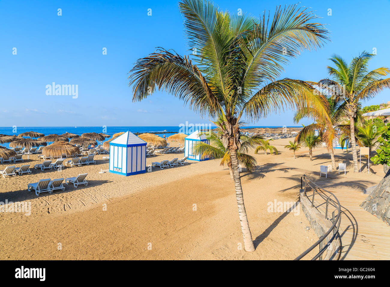 A view of sandy El Duque beach with tropical palm trees in Costa Adeje ...