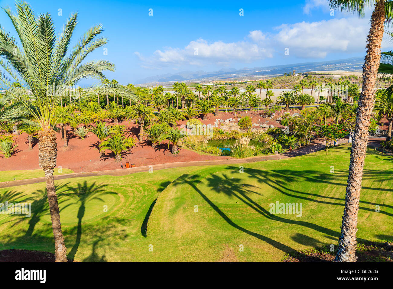 Tenerife canary islands landscape hi-res stock photography and images ...