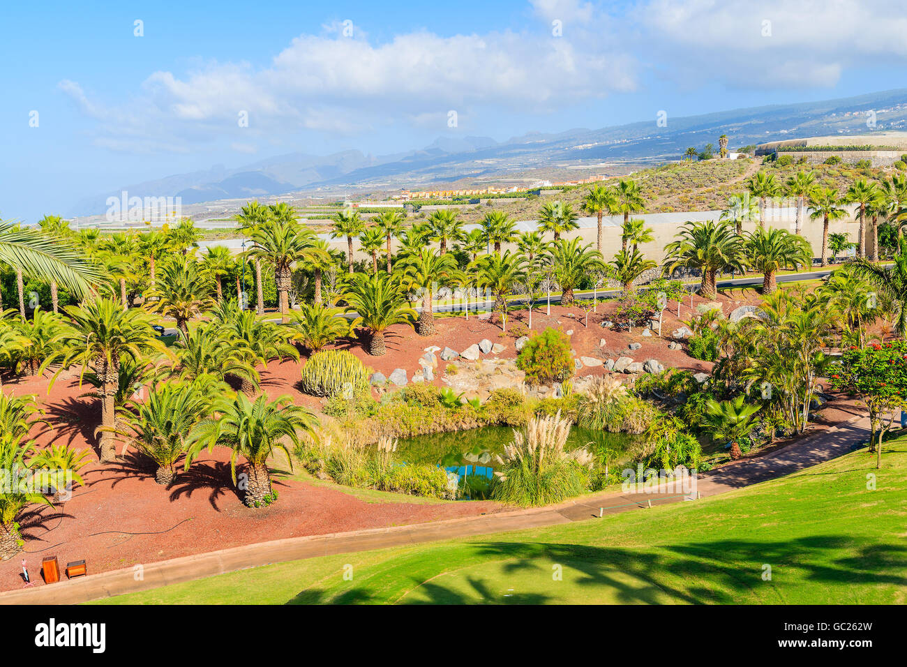 Tenerife canary islands landscape hi-res stock photography and images ...