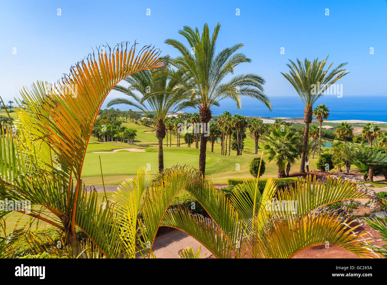 Tenerife canary islands landscape hi-res stock photography and images ...