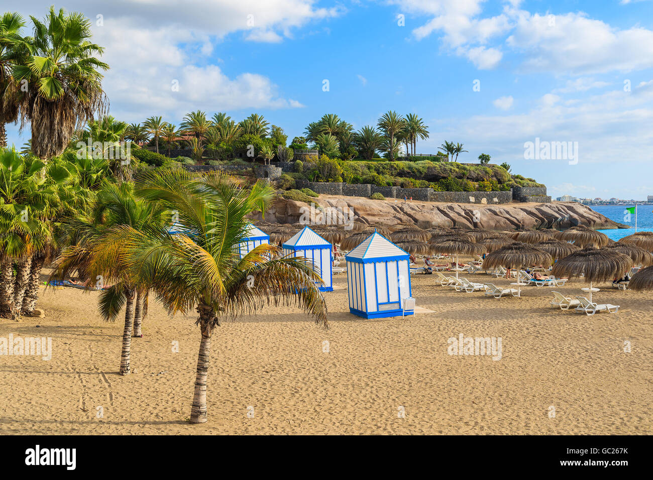 A view of sandy El Duque beach with tropical palm trees in Costa Adeje ...