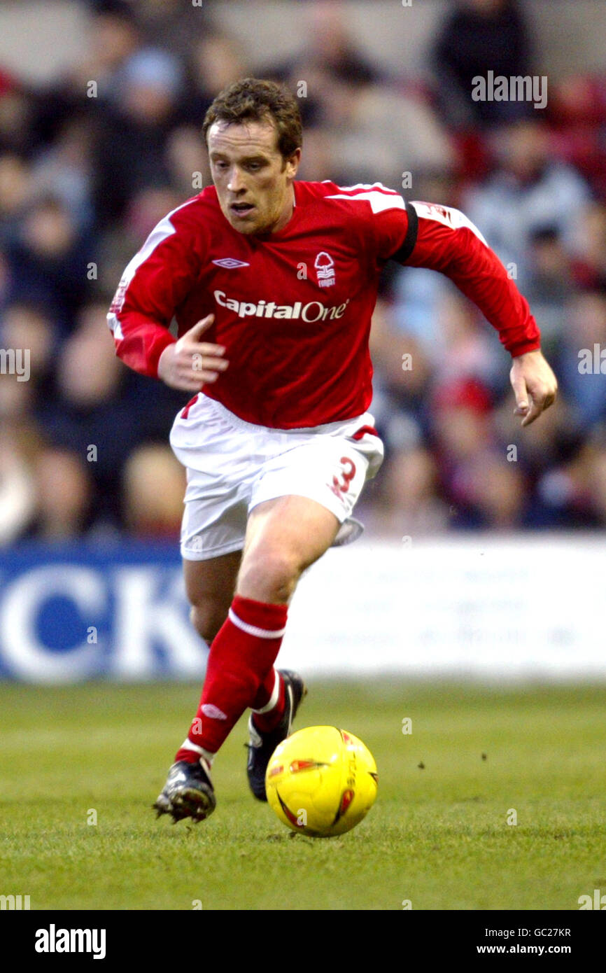 Alan rogers forest hi-res stock photography and images - Alamy