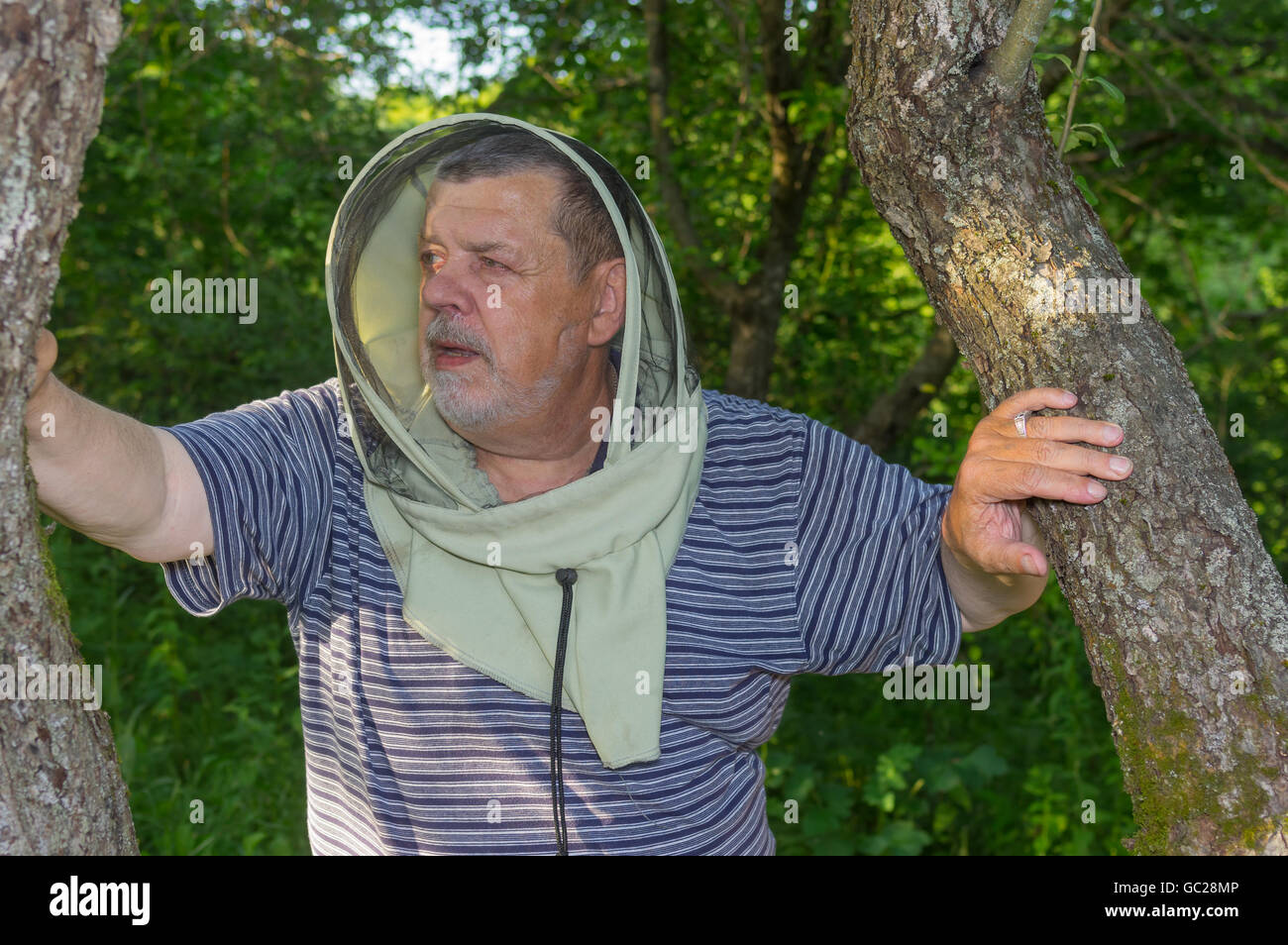 Outdoor portrait of senior beekeeper in veil under tree shadow Stock ...
