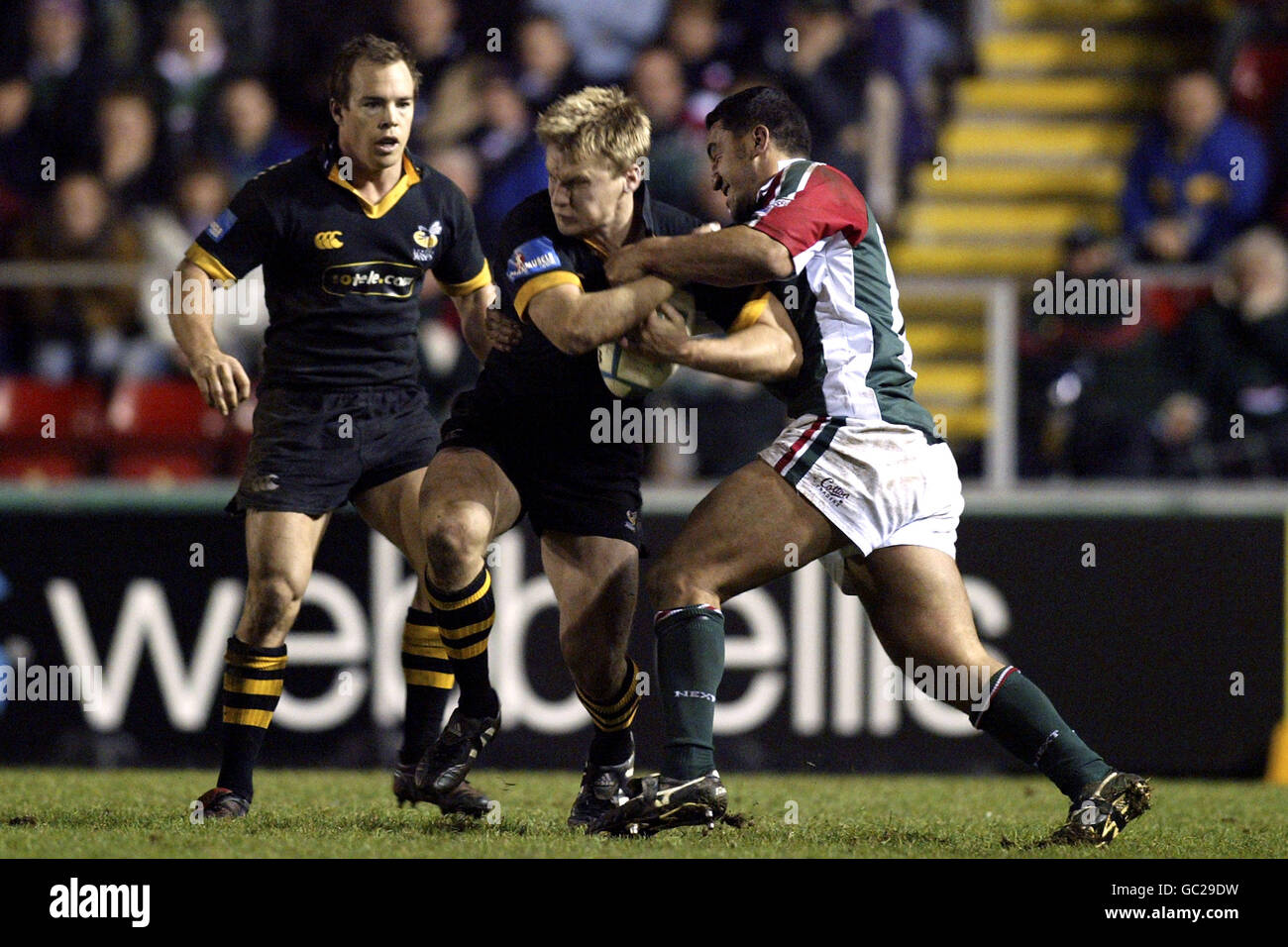 Wasps stuart abbott hi-res stock photography and images - Alamy