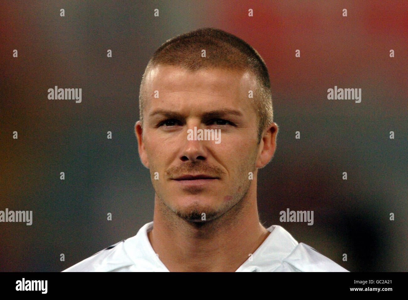 David b walton hi-res stock photography and images - Alamy