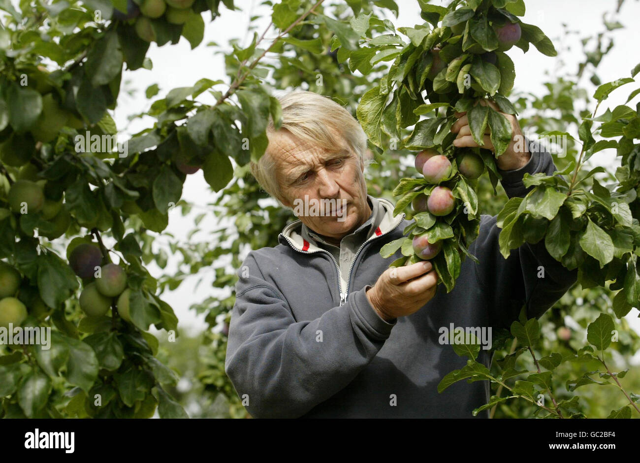Hands robert pascall hi-res stock photography and images - Alamy