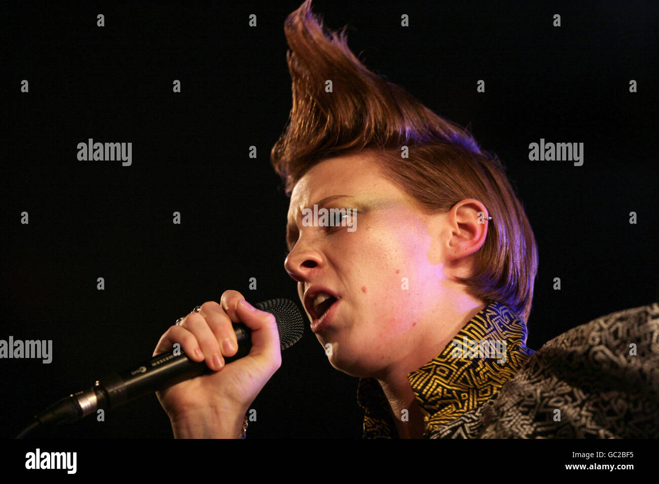 Reading Festival 2009 Stock Photo - Alamy