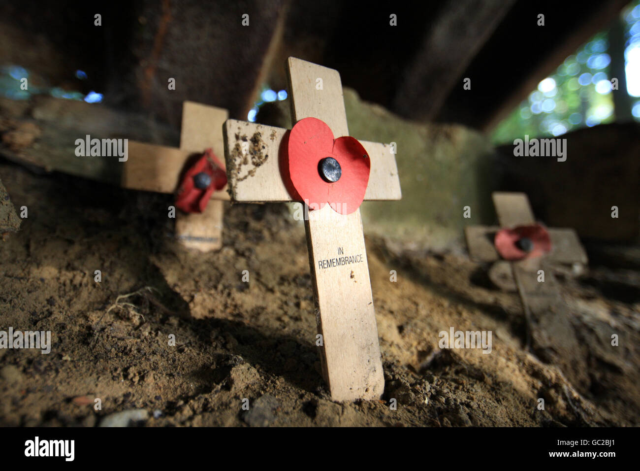Poppies in ypres hi-res stock photography and images - Alamy