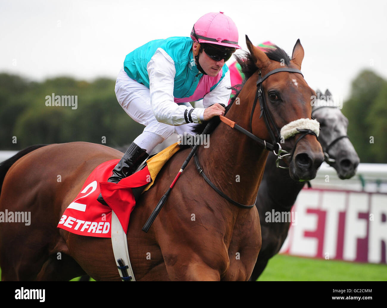Horse Racing - Betfred Sprint Cup Day - Haydock Park Racecourse Stock ...