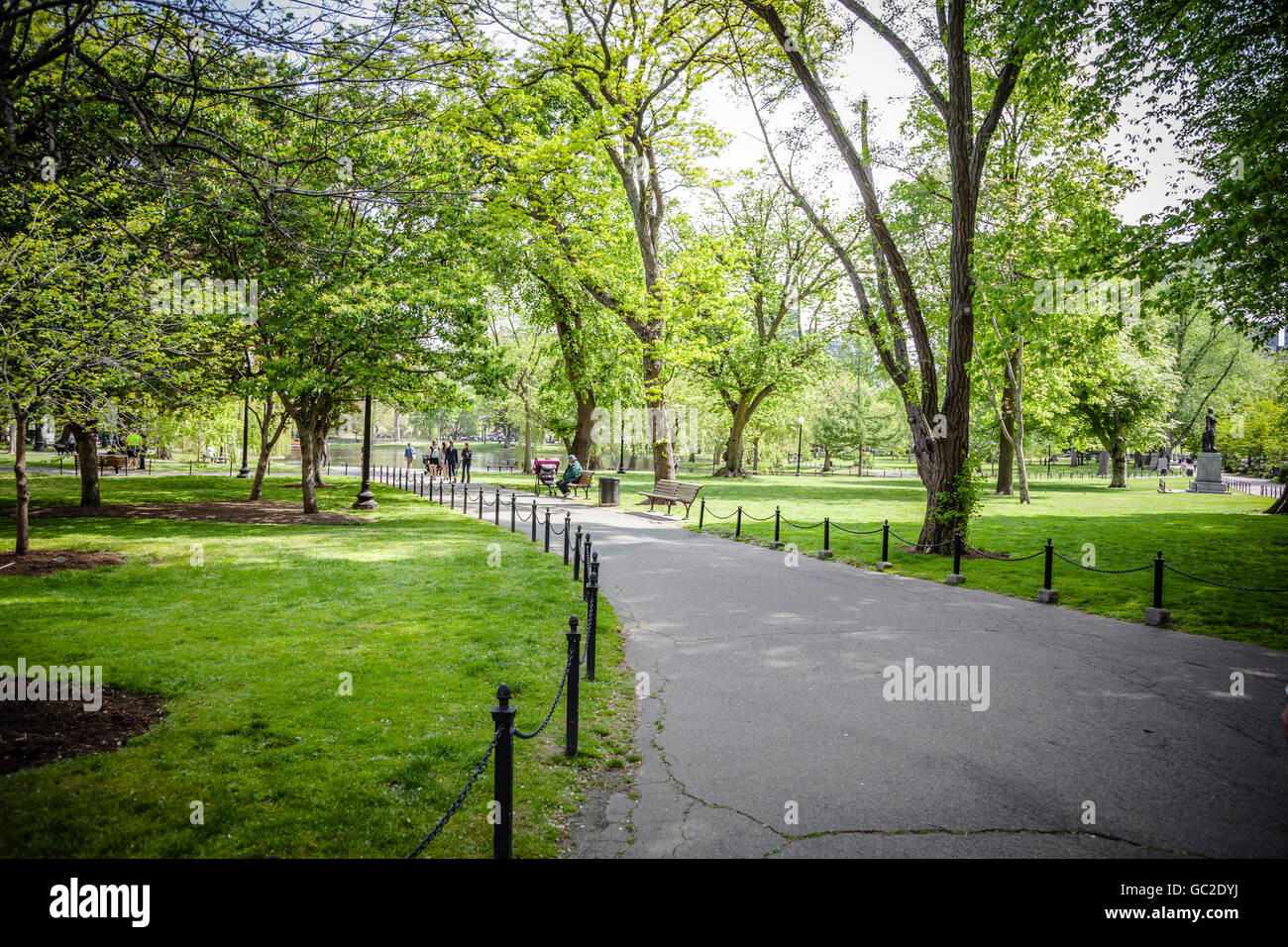 Boston Common in Massachusetts Stock Photo - Alamy