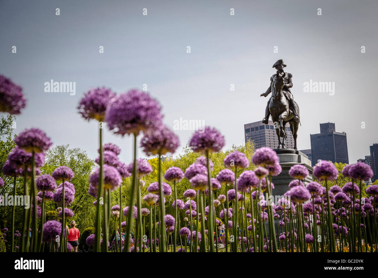Boston Common George Washington monument at Massachusetts USA Stock ...