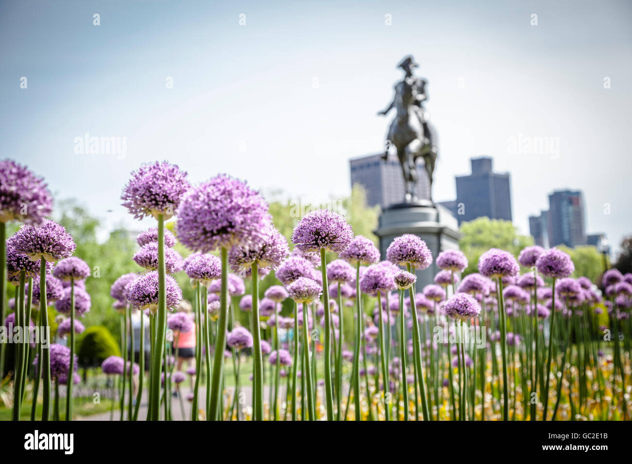 Boston Common George Washington monument at Massachusetts USA Stock ...