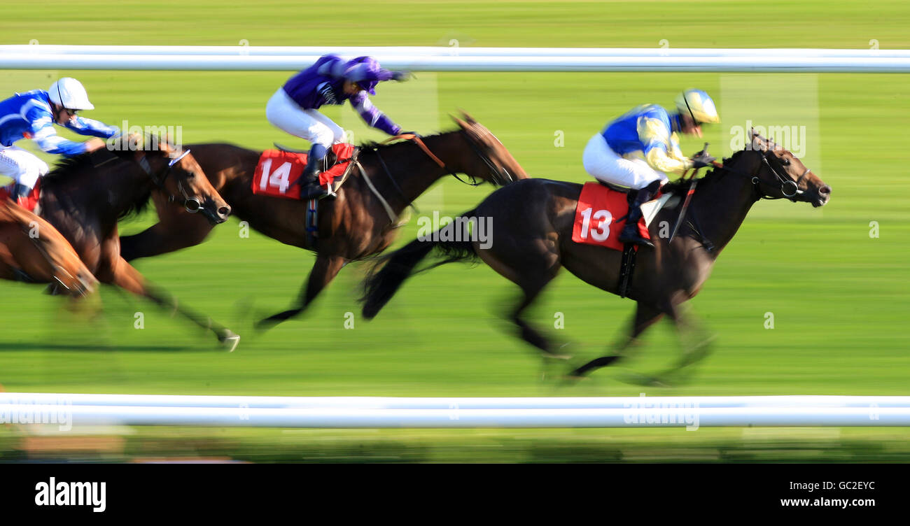 Red horse ledger hi-res stock photography and images - Alamy