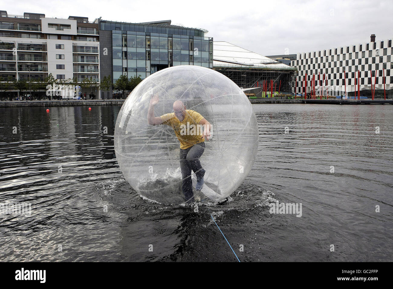Human Sized Hamster Ball