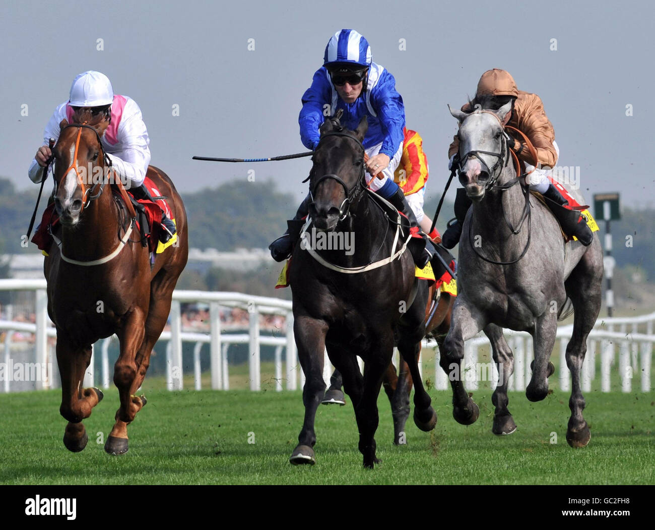 Mill reef racehorse hi-res stock photography and images - Alamy