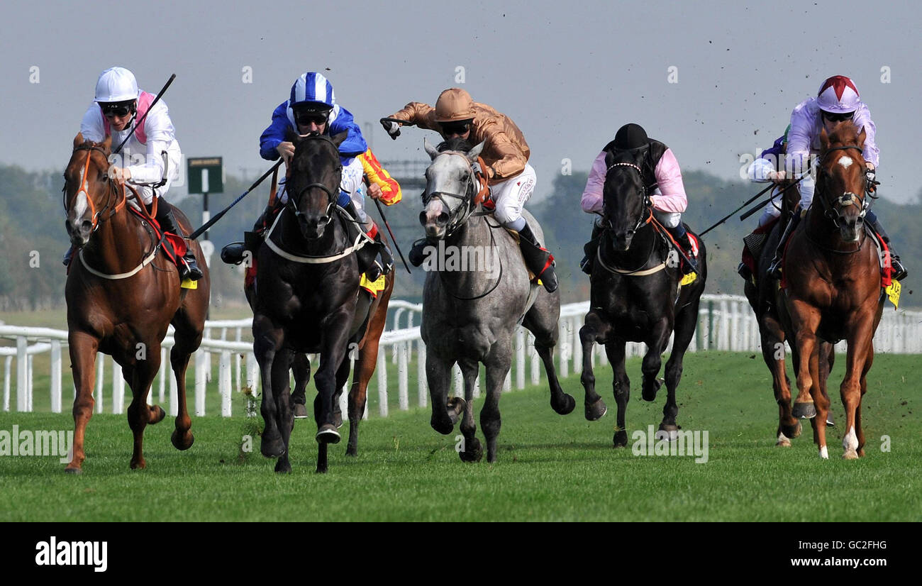 Mill reef racehorse hi-res stock photography and images - Alamy