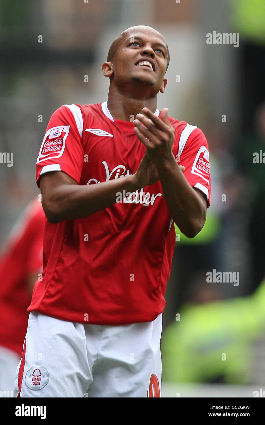 Robert earnshaw forest hi-res stock photography and images - Alamy