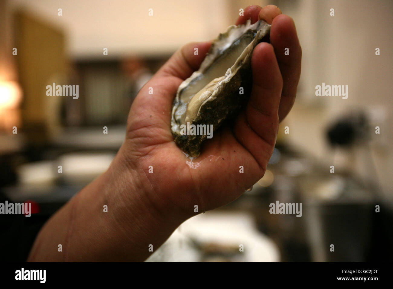 A generic view of liquid dribbling from an oyster as it is opened at ...