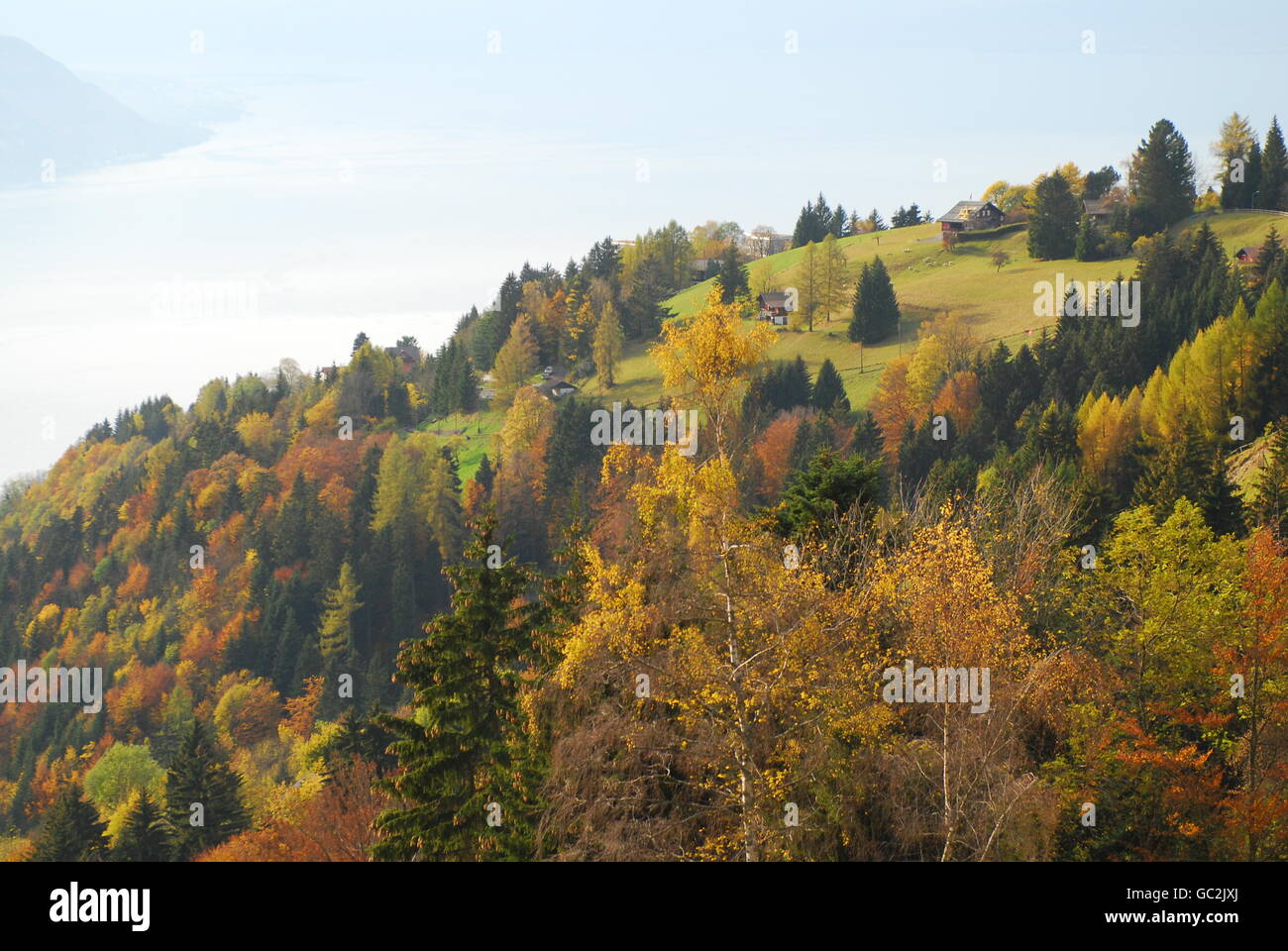 Geneva autumn hi-res stock photography and images - Alamy