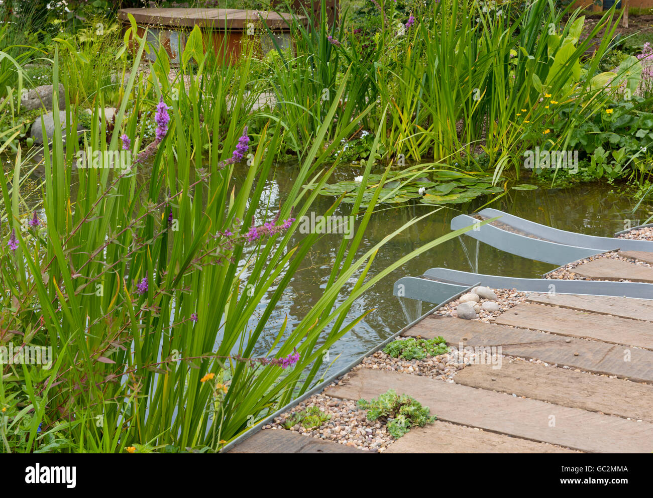 Rills flowing into a pond in The Working Wetland Garden at The Hampton ...