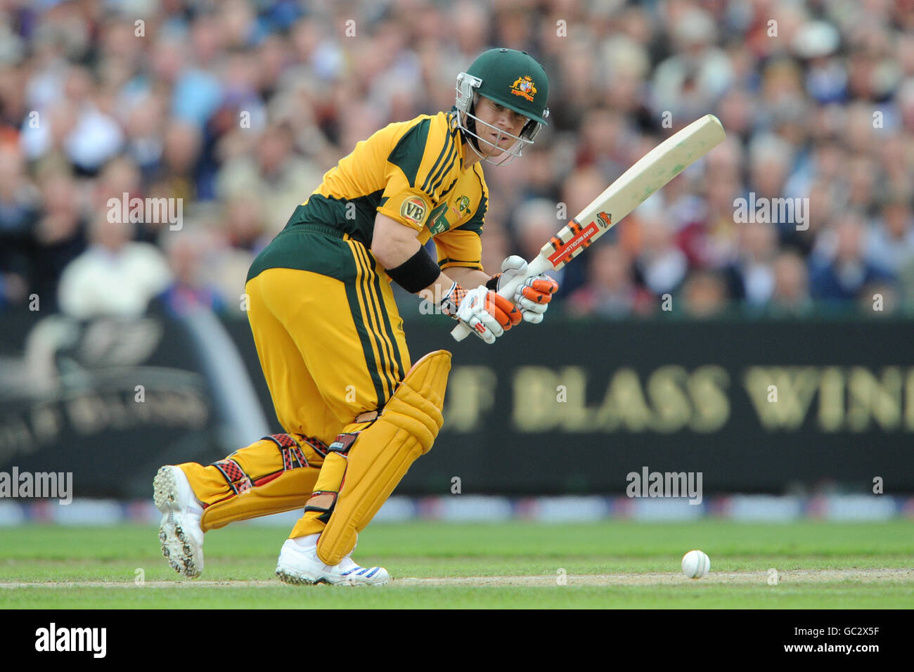 Cricket twenty 20 2020 full length batting bats bat action hi-res stock ...