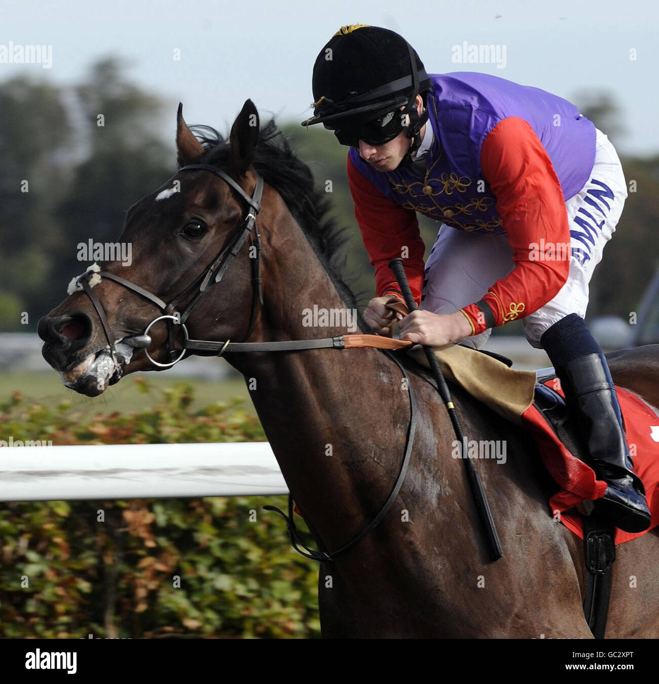 Moore park middlesex hi-res stock photography and images - Alamy