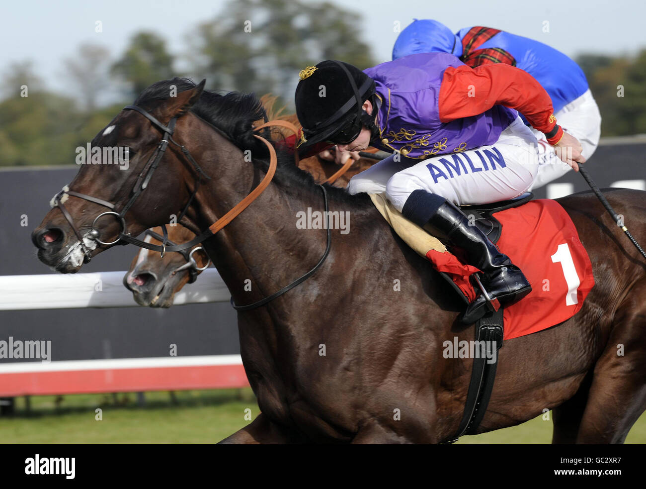 Highland Glen, ridden by Ryan Moore (wearing the colours of Her Majesty ...