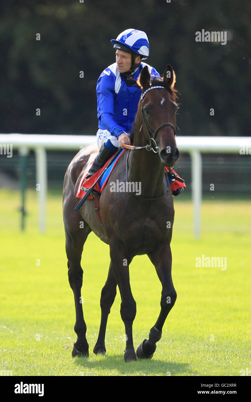 St ledger horse race hi-res stock photography and images - Alamy