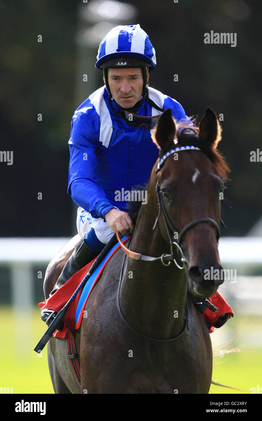 St ledger horse race hi-res stock photography and images - Alamy