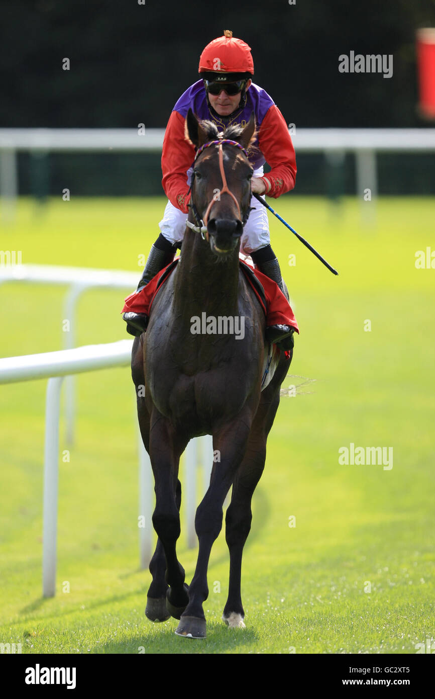 St Ledger Horse Race High Resolution Stock Photography and Images - Alamy