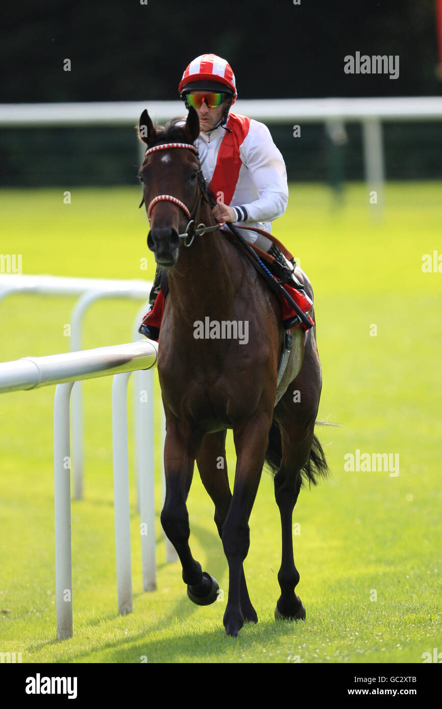 St ledger horse race hi-res stock photography and images - Alamy