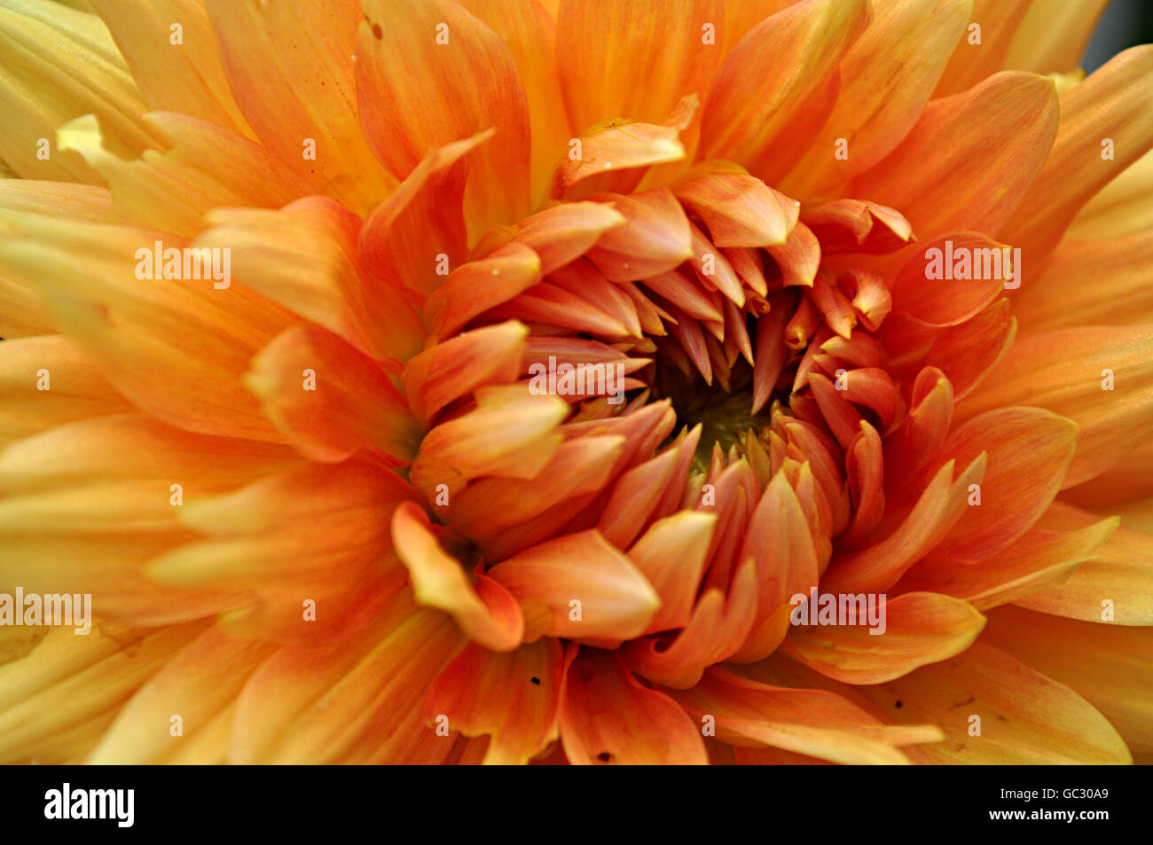 Unretouched Image High Resolution Stock Photography and Images - Alamy