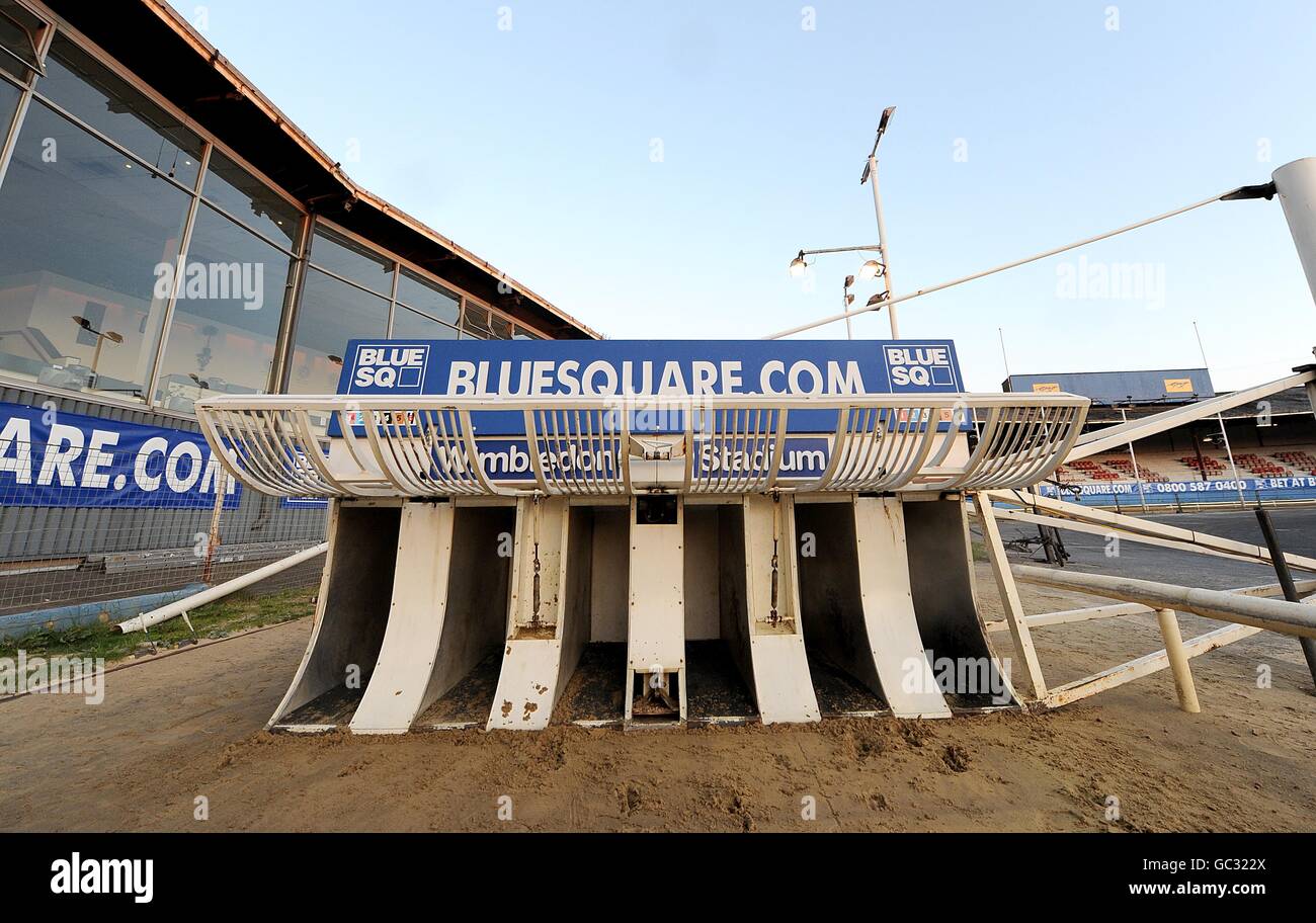 Racing - Greyhound Racing - Blue Square Greyhound Derby - Wimbledon ...