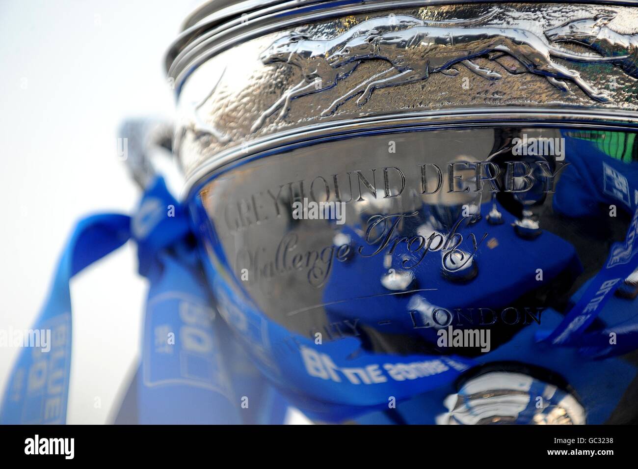 Racing - Greyhound Racing - Blue Square Greyhound Derby - Wimbledon ...